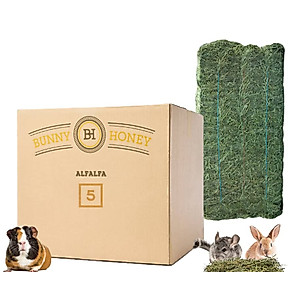 Bulk Fresh Alfalfa Hay 80oz by Bunny Honey - USDA Organic Hay for Small Select Pets, Guinea Pigs, Rabbits, Hamsters - Best Cut & Delivered Fresh - Promotes Healthy Digestive Function - 5 Pound