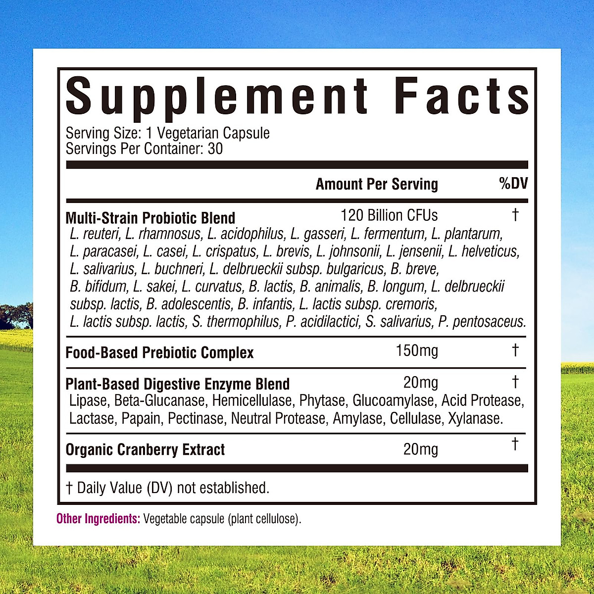 Innate Vitality Women's Probiotics, 120 Billion CFU, 32 Tested Strains, Probiotics for Women, Yeast Control, Vaginal pH Support, Prebiotics, Digestive Enzymes, Cranberry, Once Daily 30 Veggie Capsules