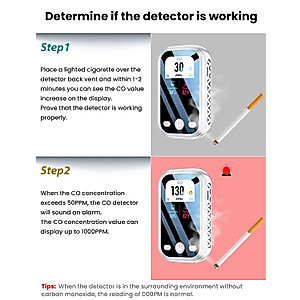 LSENLTY Upgraded Portable Carbon Monoxide Detectors, 120-Hour Standby Time, 3 in 1 CO Monitor(Temp, Humidity and CO Value), Alarm Function, Lanyard and Bracket Design, Easy to Use CO Detector
