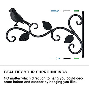 JIALAI HOME 2 Pack Hanging Plants Bracket 12" Bird Planter Outdoor Hooks Hangers for Flower Baskets Pot Bird Feeder Wind Chimes Lanterns Patio Garden Outdoor Indoor Metal Black