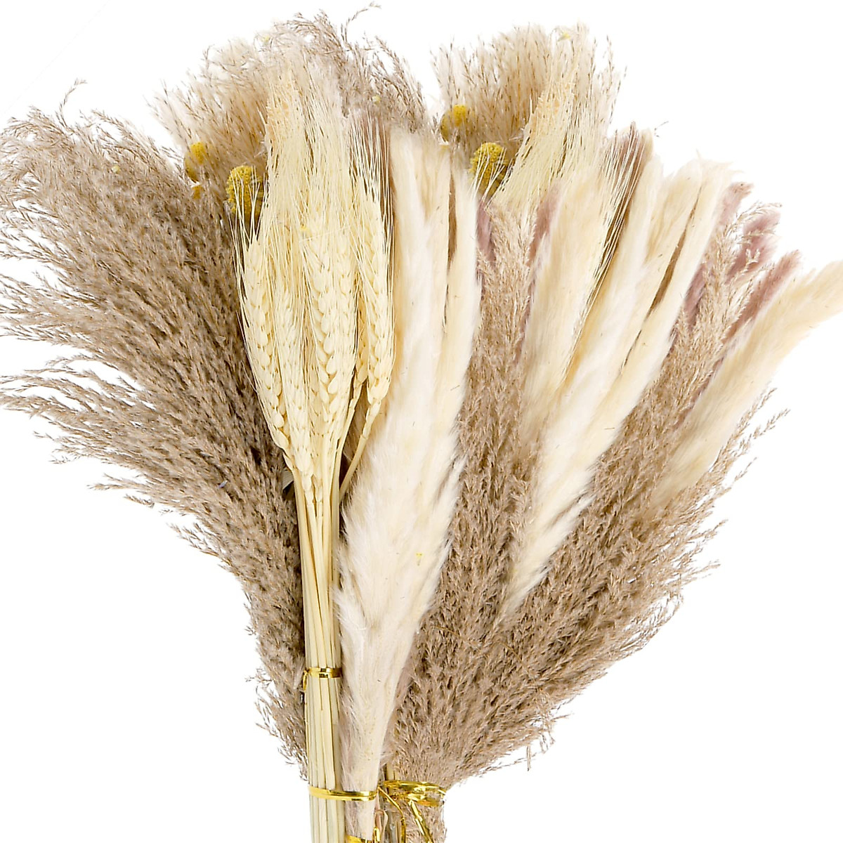 DEAYOU 65 PCS Natural Dried Pampas Grass, 17" Tall Dry Pampas Grass Branches for Boho Decor, Fluffy Pompous Reed Plants Stems Bundle for Flower Arrangements, Home Wedding Decor, 5 Styles