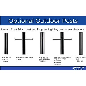 Progress Lighting P5432-31 BrassGUARD Lantern Outdoor, Black