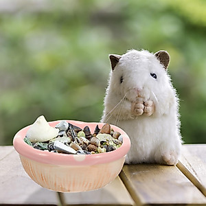Beaupretty Hamster Food Bowl Mini Mushroom Shaped Water Bowl Guinea Pig Ceramic Small Animal Feeding Dish for Dwarf Hamster Gerbil Ferret Hedgehog Chinchilla Pink