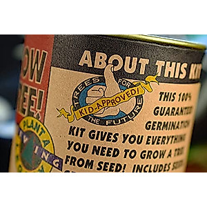 Giant Sequoia | Tree Seed Grow Kit | The Jonsteen Company