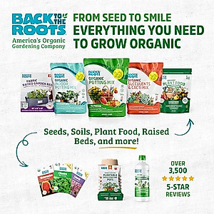 Back to the Roots Mint 'Peppermint' Seed Packet, 140mg, Green