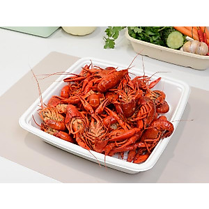 AICHEF 50 Pack 42 oz Compostable Deep Dish Plates, Extra Large Deep Square Disposable Food Trays for Seafood BBQ Large Salad - 9x9x1.7 inch