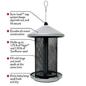 Perky Pet TSS00349 Dual Mesh Wild Bird Seed Feeder