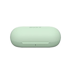 Sony WF-C700N Truly Wireless Noise Canceling in-Ear Bluetooth Earbud Headphones - Sage