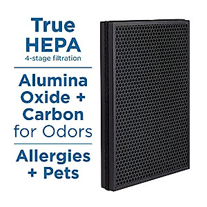 AprilAire RF09550P Allergy + Pet True HEPA Air Purifier Replacement Filter for AprilAire Room Air Purifier Model 9550, Removes Pet Allergens, Viruses, & Odors, Ozone Free