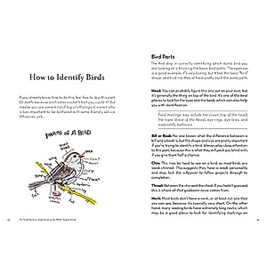 The Field Guide to Dumb Birds of the Whole Stupid World