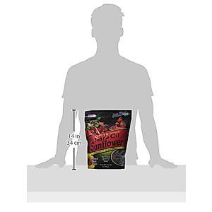 F.M. Brown'S Song Blend Oil Sunflower Seeds For Pets, 3.5-Pound, Cherry