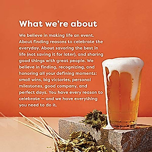 TOSSWARE RESERVE 16oz Pint SET OF 4, Premium Quality, Tritan Dishwasher Safe & Heat Resistant Unbreakable Plastic Beer Glasses, Clear