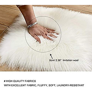 PICTURESQUE Fluffy Faux Area Rug Heart Shaped Plush Rug Fluffy Carpet for Living Room Bedroom Sofa Floor, 15.7" x 19.7"