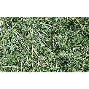 Standlee Premium Western Forage Alfalfa, 25lb Box