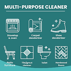 20 Mule Team All Natural Borax Detergent Booster & Multi-Purpose Household Cleaner, 65 Ounce, 4 Count