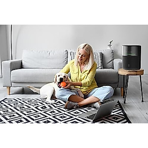 GermGuardian AirSafe+ Intelligent Air Purifier with 360° HEPA 13 Filter, Captures 99.97% of Pollutants, Wildfire Smoke, Large Rooms, Air Quality Sensor, UVC Light, Zero Ozone Verified, Black, AC3000B