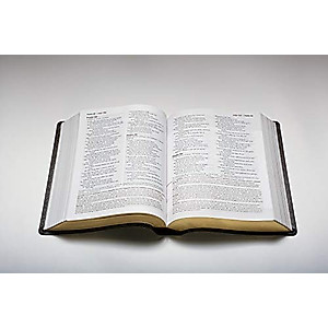 Every Man's Bible: New Living Translation, Large Print, TuTone (LeatherLike, Brown/Tan) – Study Bible for Men with Study Notes, Book Introductions, and 44 Charts