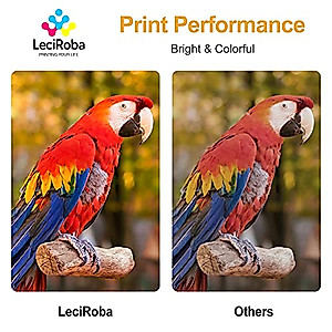 LeciRoba LC75 Ink Cartridges for Brother lc75 Ink Cartridge and LC79 XL LC71 Ink cartridges for MFC-J7510DW MFC-J6910DW MFC-J835DW MFC-J430W MFC-J6510DW MFC-J280W (8 Black,4 Cyan,4 Magenta,4 Yellow)