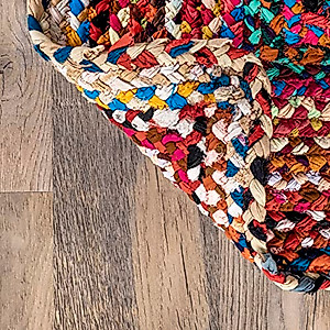 nuLOOM Tammara Bohemian Hand Braided Area Rug, 4x6, Multi