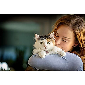 In Clover Spry Daily Respiratory and Ocular Support Soft Chews for Cats, with L-Lysine, Superfoods, and Prebiotics for a Strong Immune System, 2.1 oz. (60 count)