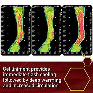 Vita Flex Thermaflex Liniment Gel for Sore Muscles and Joint Relief in Horses 12 Fluid Ounces
