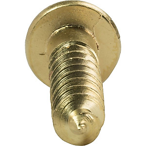 #1 x 1/4 Brass Round Head Wood Screws Slotted Drive Qty 100