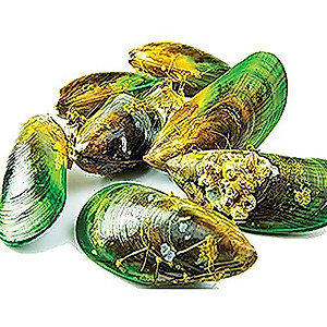 WIZARDPET Advanced Hemp Hip and Joint Supplement for Dogs - Hemp Oil Glucosamine Chondroitin for Dog - Omegas - Turmeric - MSM - Green Lipped Mussel, Made in USA Treats Support Mobility - 120 Chews