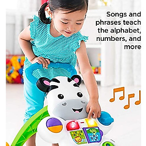 Fisher-Price Baby Learning Toy Learn With Me Zebra Walker With Music Lights And Fine Motor Activities For Ages 6+ Months