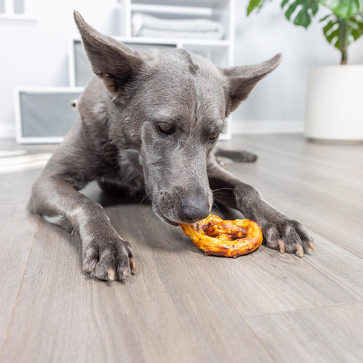 Wild Eats Rawhide Free Real Salmon Collagen Dog Treat Pretzel, 3ct - High Protein Dog Chew