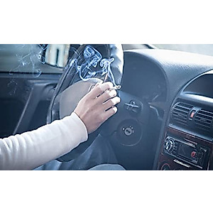 CARPRO SO2Pure 2.0 Odor Eliminator - Neutralize Odors, Cigarette Smoke, Exhaust, Chemical Smell or VOCs, Even Pet Smells from Car Fabric & Plastic, Use on Any Surface, Anywhere - 120mL (4oz)