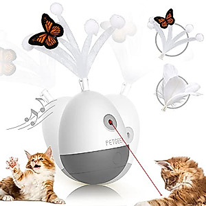PETGEEK Laser Pointer Cat Toy, Interactive Cat Toy for Kitten Toys, Cat Laser Toy with Bird Squeaky, Automatic Cat Toy with Cat Wand Replacement, Cat Toys for Indoor Cats