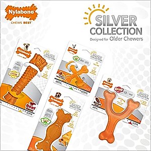Nylabone Flexi Chew X-Bone Senior Dog Chew Toy Turket & Sweet Potato Small/Regular (1 Count)