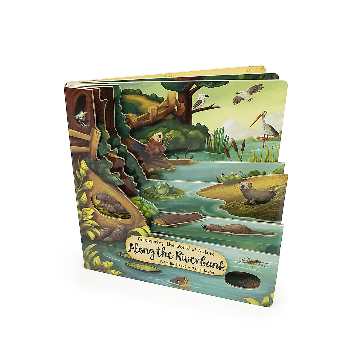 Discovering the World of Nature Along the Riverbank (Happy Fox Books) Board Book for Kids Ages 3-6 to Learn About Animals Living In, Near, or Under Water, plus Fun and Educational Facts (Peek Inside)