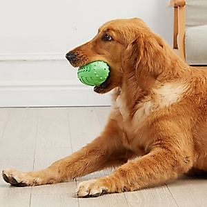 Pet Teething Toy, Odorless Rubber Squeaky Dog Toy Ball, Durable Soft Dog Chew Ball with Whistle, Small Medium Puppy Chew Ball for Playing Training Interacting Teeth Cleaning