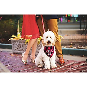 Ptzizi Funny Red Plaid Cotton Triangle Service Dog Bandana for Photograph Birthday Party Props Scarf Scarves Decorations, Pet Dog Lovers Owner Gift