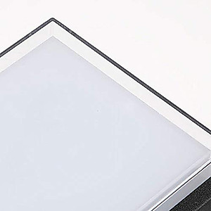 WRDY Black Outdoor Wall Lamp Led Courtyard Square Exterior Aisle Waterproof Balcony Terrace Modern Creative Home Garden Wall Lamp 1616 (cm) Wall Lights