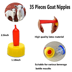 DXary Pritchard Nipple for Goats, Small Soft Goat Nipples Silicone Lambs Milk Drink Nipple for Feeding Sheep Goat Lamb Puppy Nursing Farm Supplies (15 Pieces)