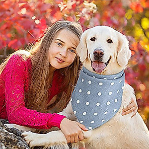 5 Pieces Dog Bandana Pet Summer Bandana Point Dog Kerchief Washable Dog Scarf Bandana Soft Comfortable Dog Daily Bib Adjustable Accessory for Dog Pet (Green, Pink, Ginger, Khaki, Blue,Dot)