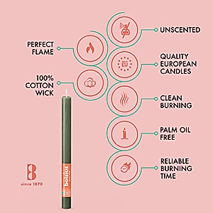 BOLSIUS 16 Fresh Olive Rustic Household Candles - 10.5 Inch - Premium European Quality - 13 Burn Hours - Natural Eco-Friendly Plant-Based Wax - Unscented Dripless & Smokeless Party Décor Candlesticks