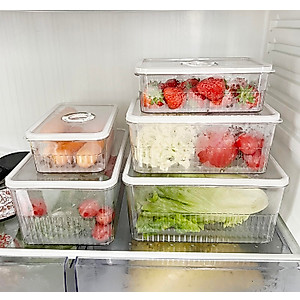 halteoly Fruit Storage Containers for Fridge,3 Pc Stackable Food Vegetables Saver for Refrigerator, Freezer organizers and Fresh Keeper Bin,Produce Saver box