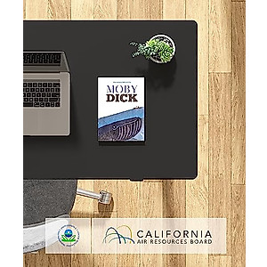 FLEXISPOT Standing Desk 48 x 30 Inches Height Adjustable Electric Sit Stand Home Office Desks Whole Piece Desk Board (Black Frame + Black top,2 Packages)