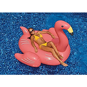Swimline Giant White Swan/Flamingo/Black Swan/Parrot Floats for Swimming Pools (4 Pack)