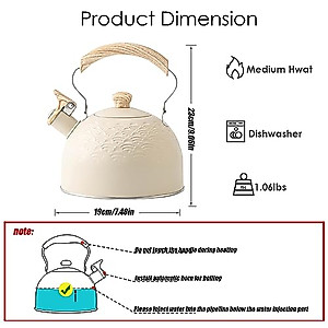2.5L Stainless Steel Tea Kettle Teapot with Foldable Anti-Heat Handle,for Gas Hobs, Induction and Electric Hobs▂19 * 23cm/7.48"*9.06"