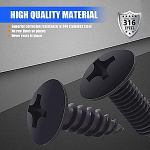 gunhunt 8 PCS License Plate Screws Kit, M6 Stainless Steel Bolts, American Standard License Plate Fasteners, Black Phillips Screws Replacements, Universal for Most Cars, Trucks and Vans (Black)