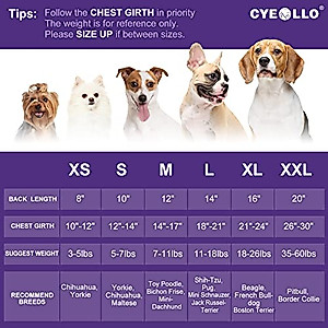 cyeollo Medium Dog Sweater Turtleneck Knitted Dog Sweaters Soft Knitwear Gradient Color Warm Winter Dog Clothes Pet Apparel for Dogs