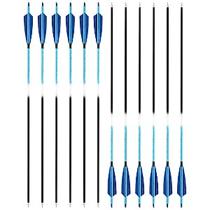 AMEYXGS 12Pcs Archery 30Inch Carbon Arrow Target Practice Hunting Arrow Spine 500 with 5inch Shield Turkey Feather Removable Tips for Traditional Recurve Compound Bow Longbow (Blue, 12)