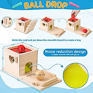 6-in-1 Wooden Play Kit Montessori Toy, Object Permanence Box, Coin Box, Carrot Harvest, Catch Worm, Shape Sorter - Toddler Learning Toy for Kid Age 1, 2, 3 Year Old, Girl boy Gift for Baby 6-12 Month