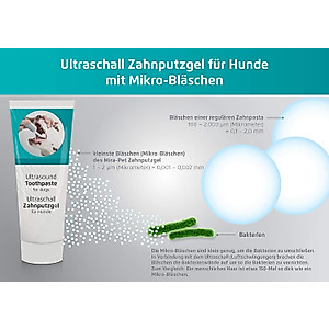 Techmira Cleany Teeth Toothbrush for Dogs Starter Kit