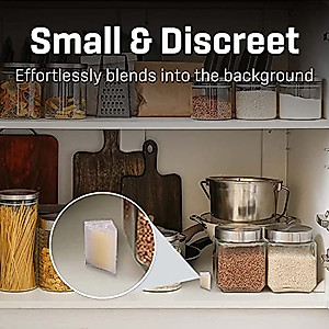 Exterminator’s Choice - Bug Bistro - Reusable Ant and Cockroach Bait Box - Serves Bugs Their Last Meal - Keeps Bait Contained But Available for Bugs - 2 Pack