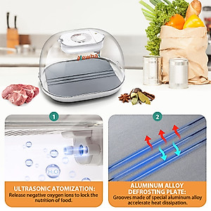 Newhai Defrost Tray for Frozen Meat, Upgraded Defrosting Board 360°Defroster with Atomizer for Beef Chicken Sea Food Kitchen Use